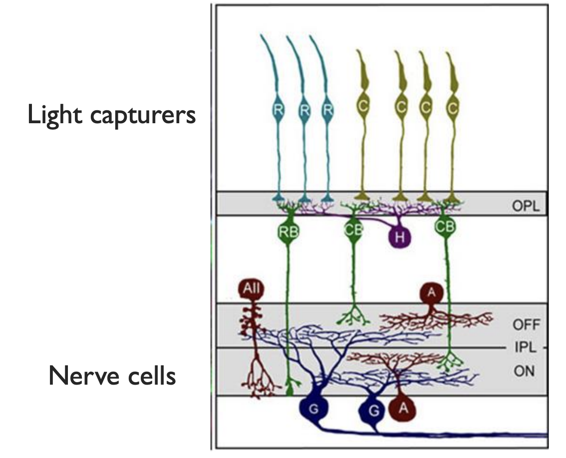 How we see with geometry | Elliot Kienzle